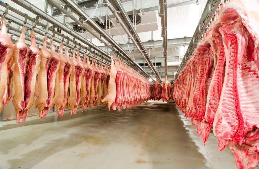 Clean Meat: The Logical Solution to End Factory Farming