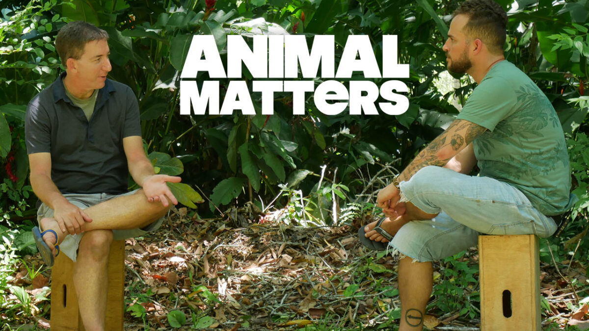 Animal Matters: New Video Series with Glenn Greenwald