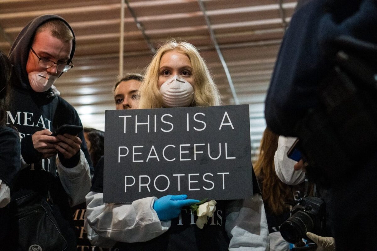 Watch: Unprecedented Animal Rights Protest at Pig Farm