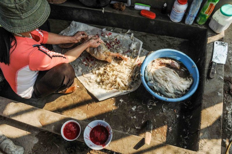 Firsthand Look Inside Asia's Busiest Wet Markets