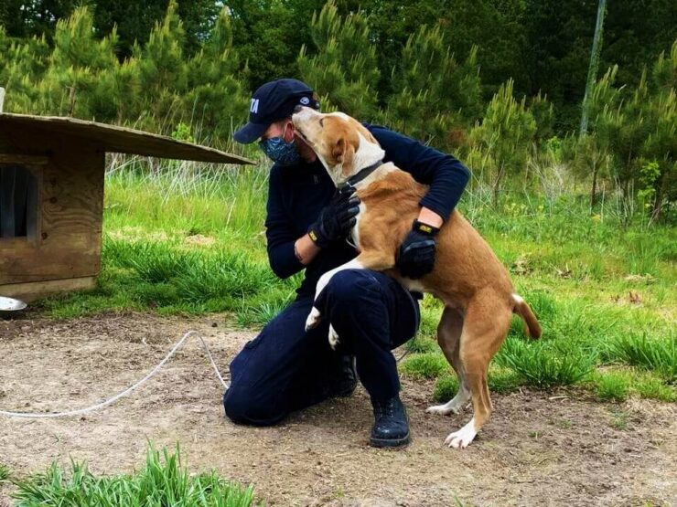 How Many Animals Does PETA's Shelter Euthanize Annually—and Why?