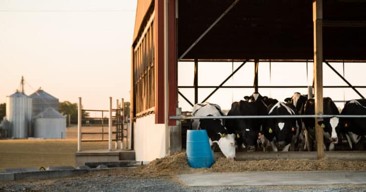 Climate Groups Finally Recognize the Link Between Factory Farming and ...