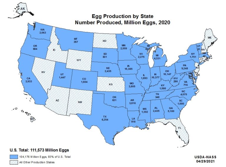 Number of Chickens in the U.S. and Chicken Production by State