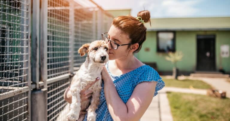 No-Kill Shelters Are Sweeping the Nation. That’s a Good Thing, Right?