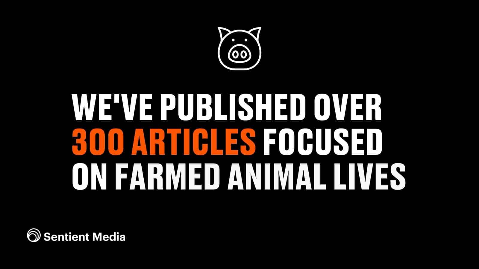 Sentient Media 2021 Year in Review: Wins, Losses, and the Road Ahead