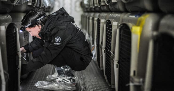 What Is a Puppy Mill and Why Are Puppy Mills Still Legal?