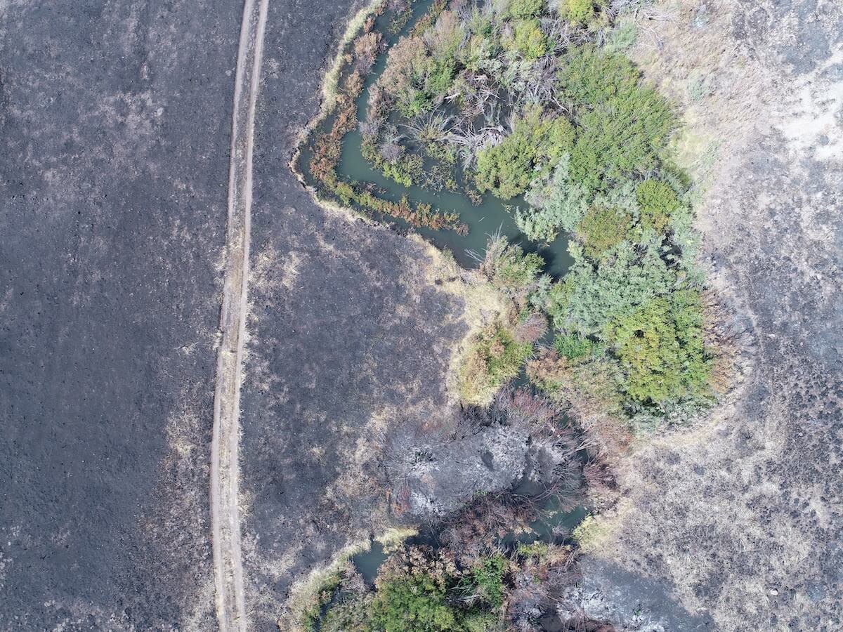 The Future of Beavers Depends on Learning Lessons From the Past