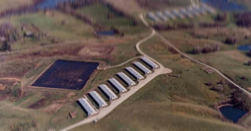 Report Ties Smithfield Pig Farms to Decades of ‘Chronic’ Pollution