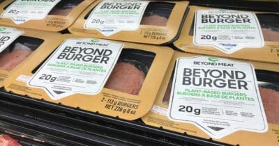 Workers Archives | Sentient Media