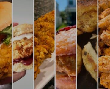 Sentient Media Spotlight