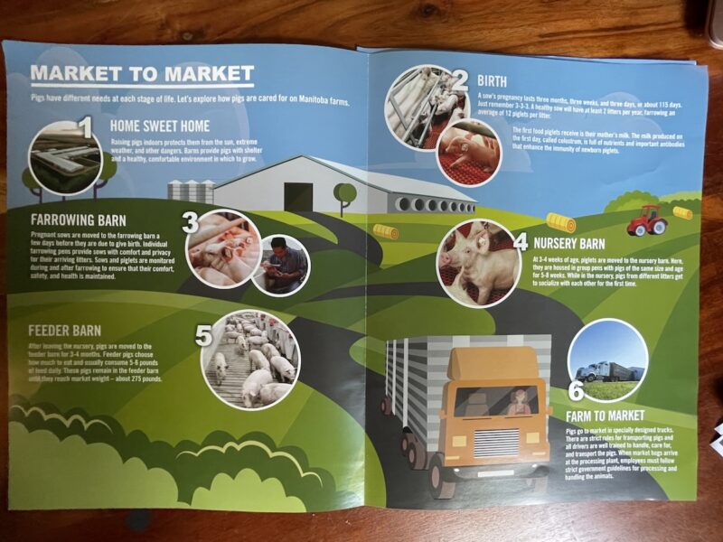 The Real Reason There Are So Many Open Farm Days