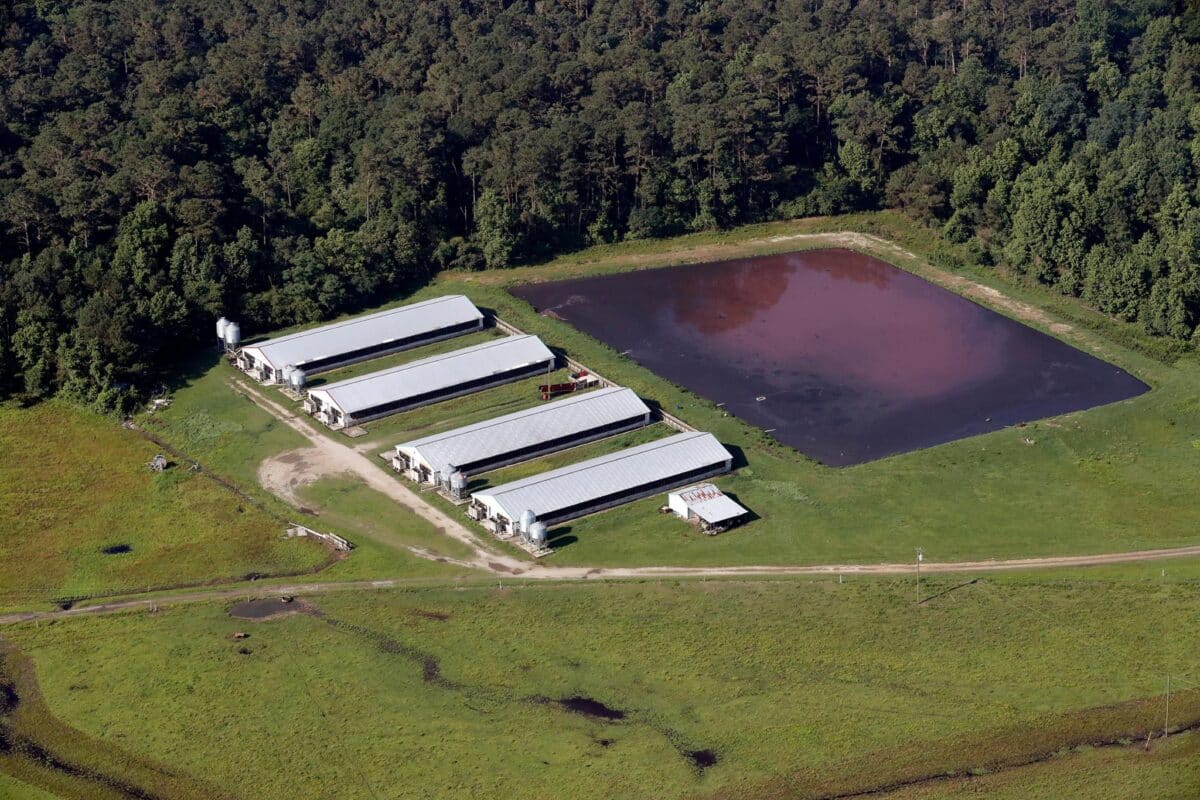 New Air Quality Monitors Could Expose Factory Farming and Environmental ...