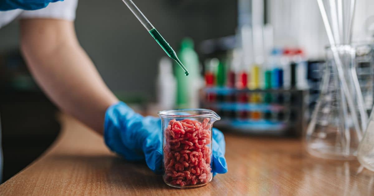 Which States Are Banning Lab Meat, and Why?