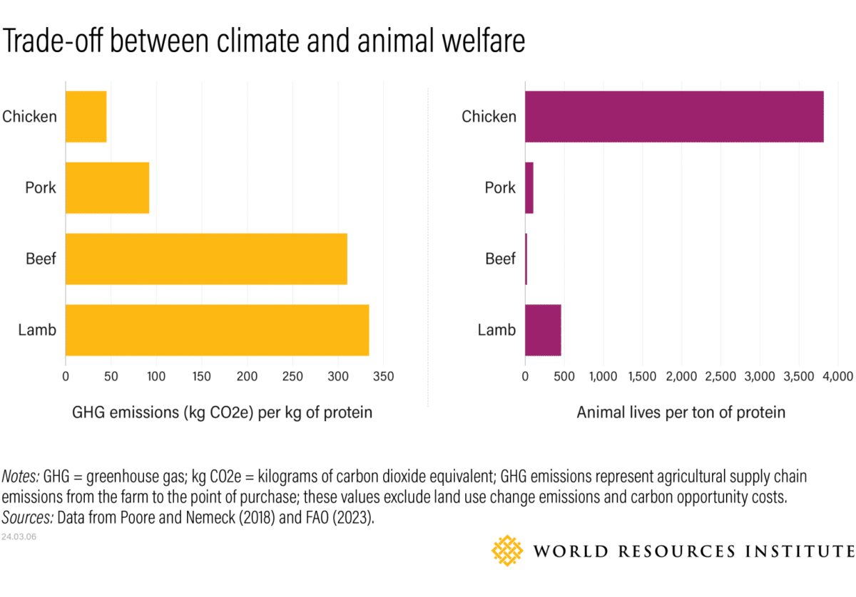 Does ‘Less Meat, Better Meat’ Actually Solve Beef’s Climate Problem?
