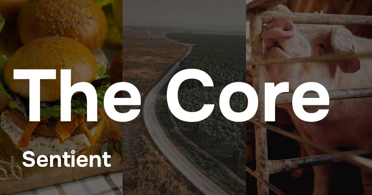 Subscribe to Sentient's The Core Newsletter