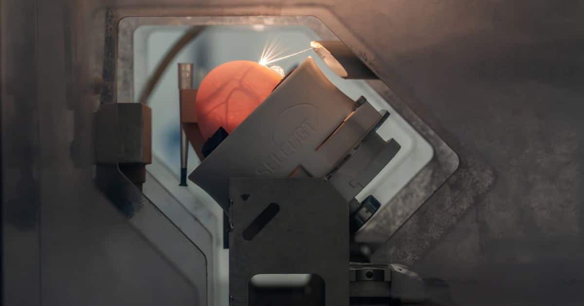 Plans to End Male Chick Culling Stall in U.S.