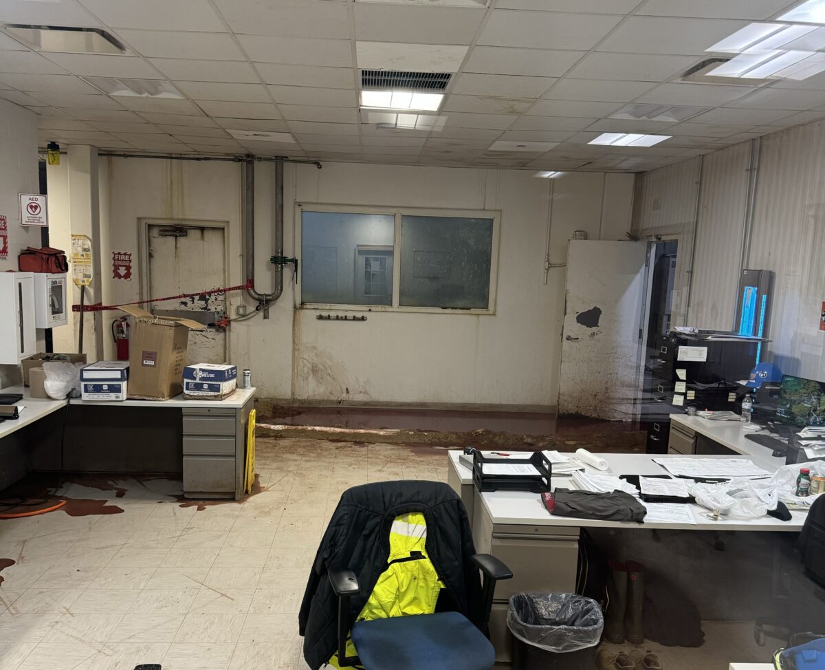 Child Labor, Piles of Dead Pigs and Sulfur Dioxide: Inside a Rotting ...