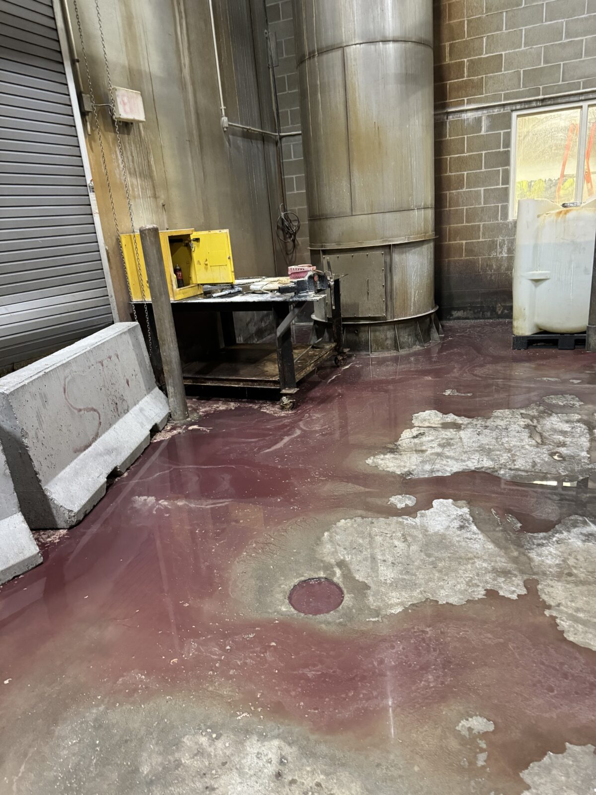 Child Labor, Piles of Dead Pigs and Sulfur Dioxide: Inside a Rotting ...